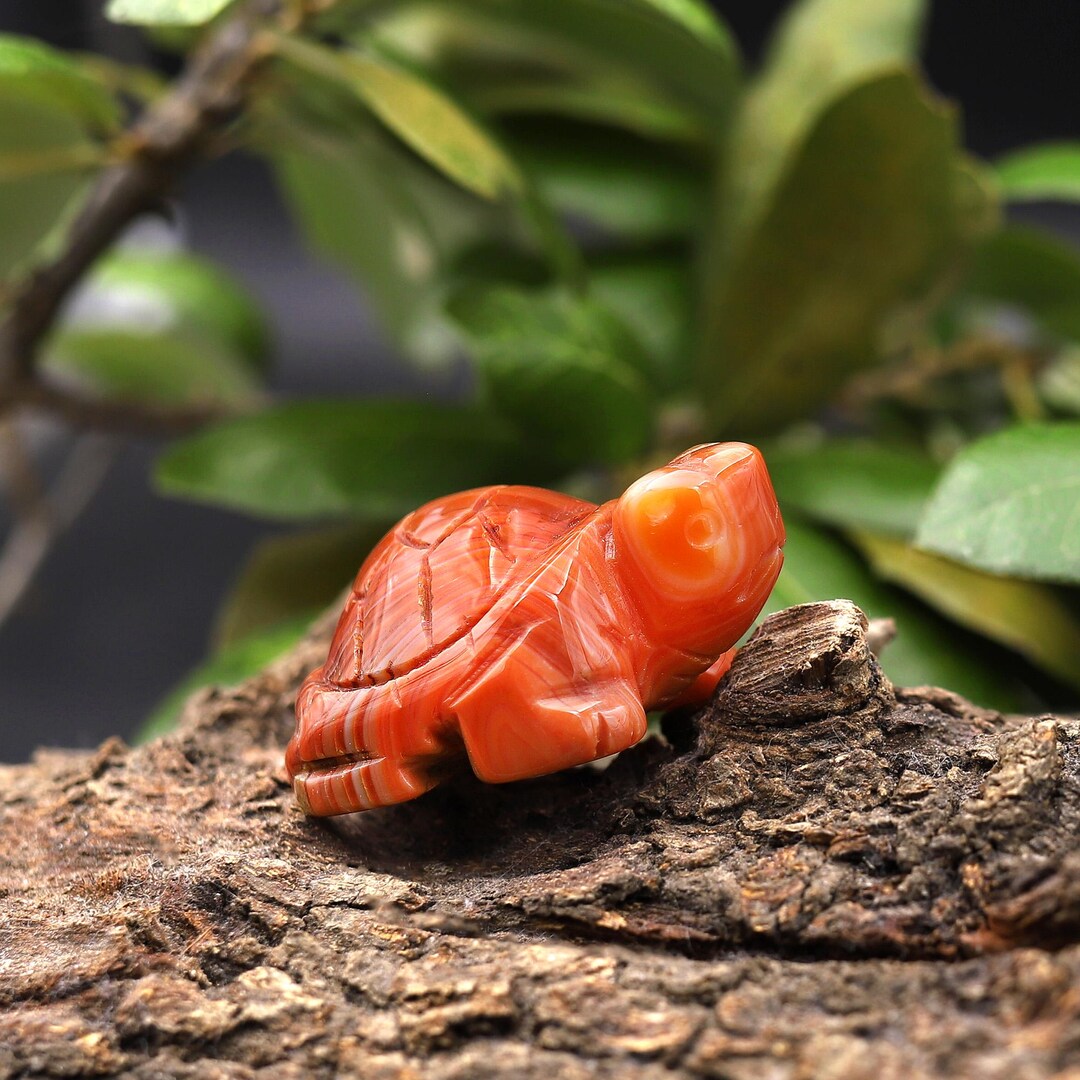 Hand-carved Natural Banded Orange Carnelian Turtle Figurine Crystal ...