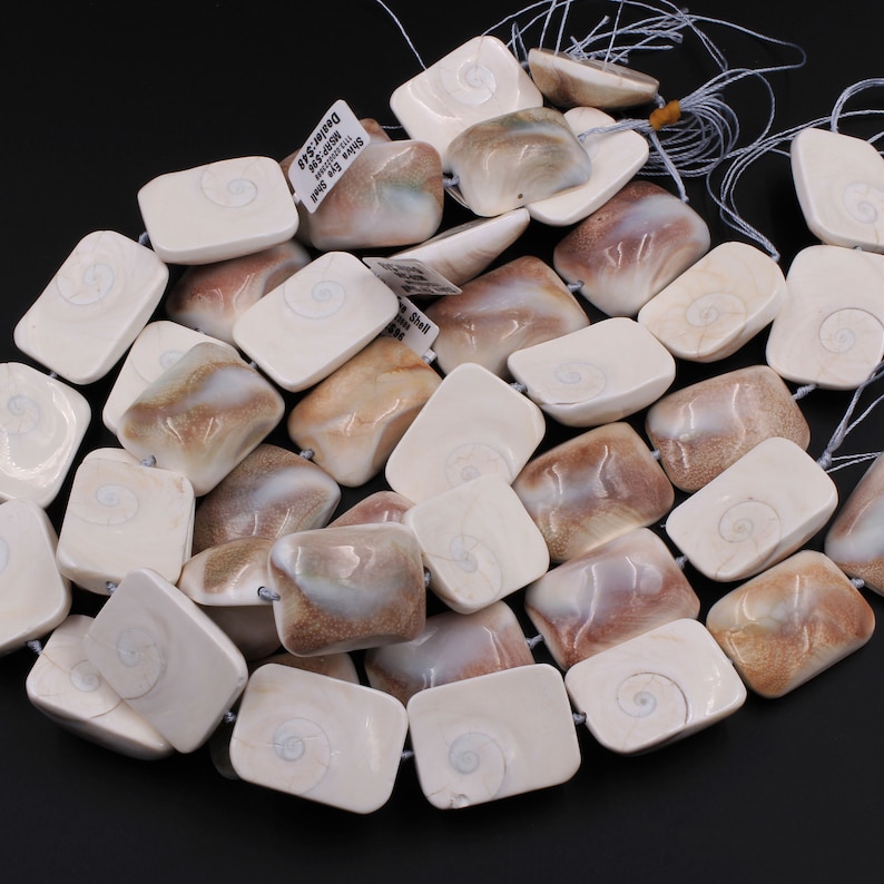 Large Shiva Eye Shell Beads Domed Rectangle Focal Pendant | Etsy