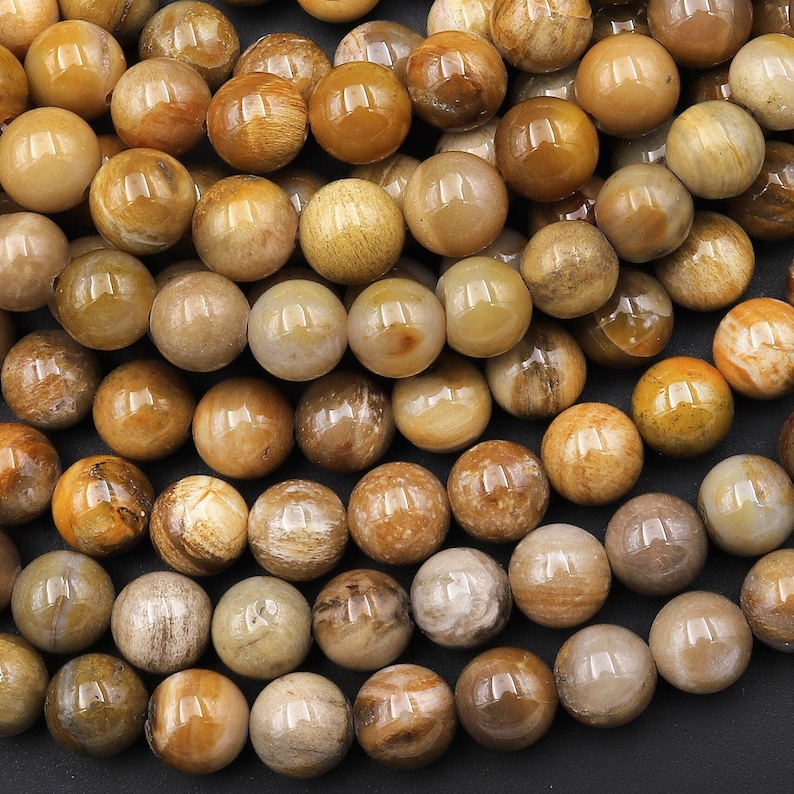 Natural Brown Petrified Wood Beads 6mm 8mm Smooth Gemstone Round Beads ...
