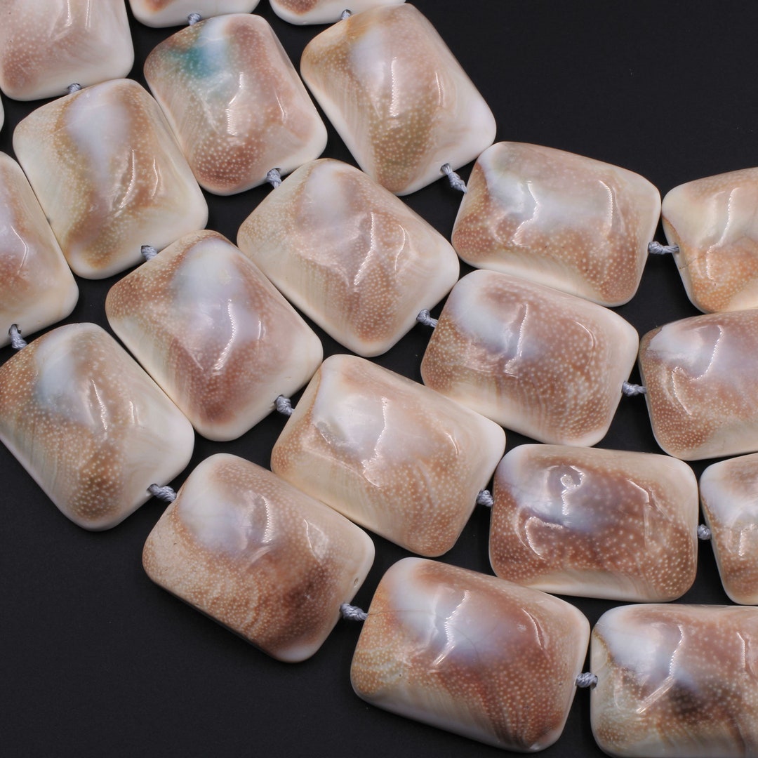 Large Shiva Eye Shell Beads Domed Rectangle Focal Pendant 15.5" Strand ...