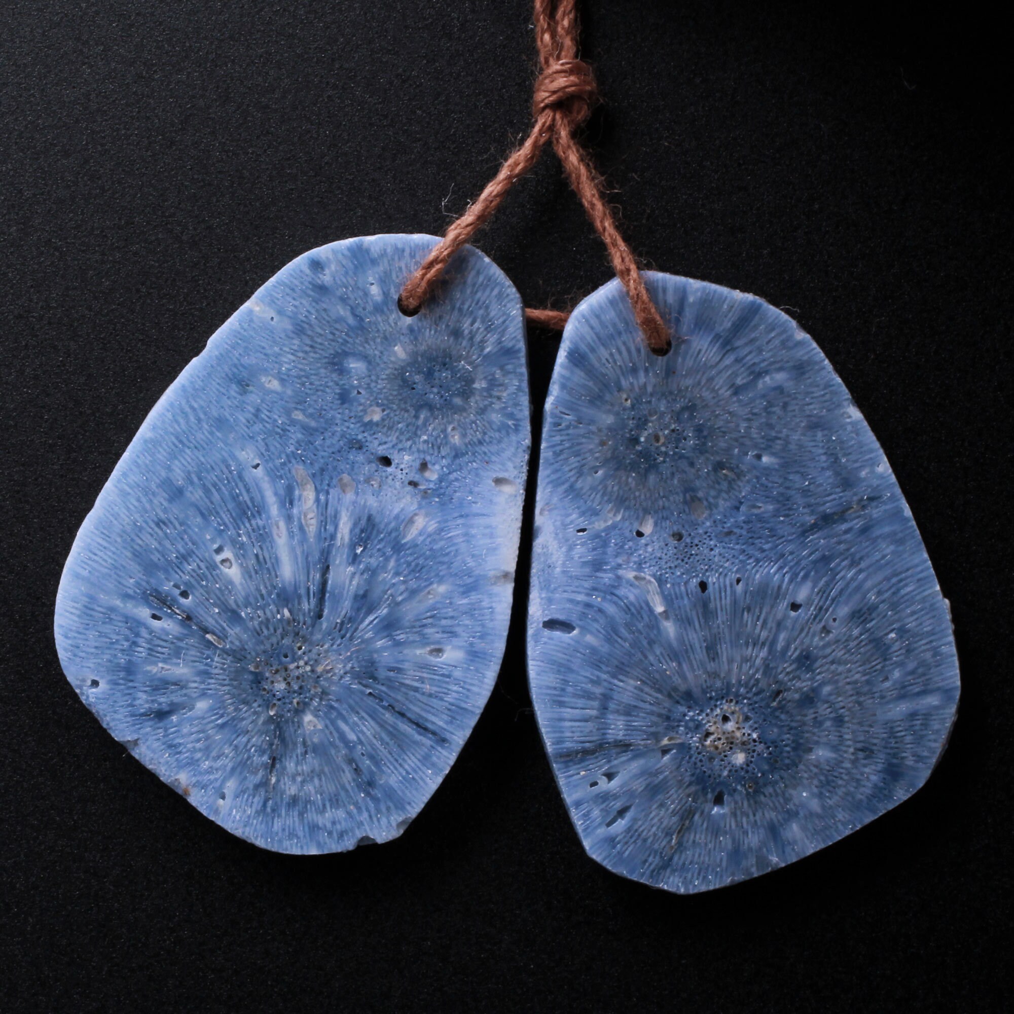 Drilled Freeform Natural Blue Sponge Coral Earring Pair | Etsy