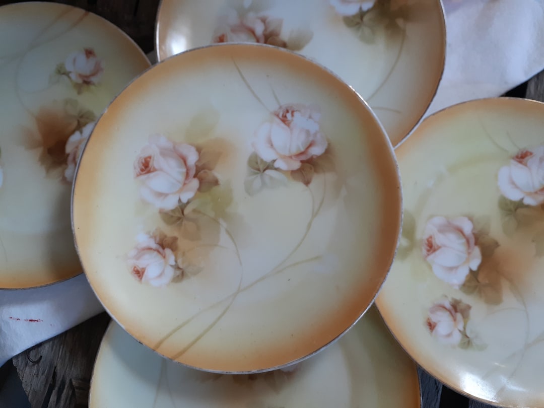 Set of 5 RS Germany B & B / Cake / Pie Plates in Yellow With - Etsy