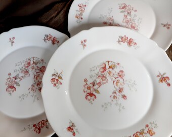 Vintage Arcopal France Florentine Milk Glass Dinner Plates Sold ...