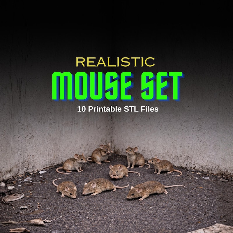 Realistic Mouse - Etsy