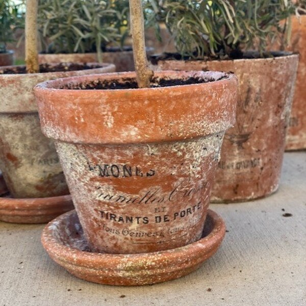 Aged Terracotta Pots - Etsy