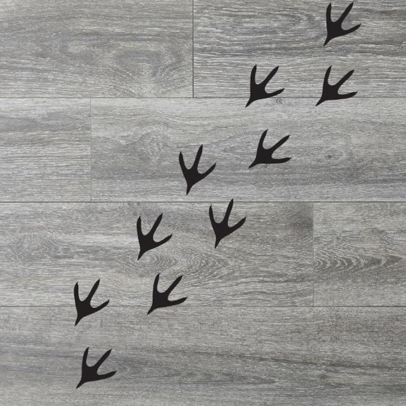 Chicken Wall Decal - Etsy
