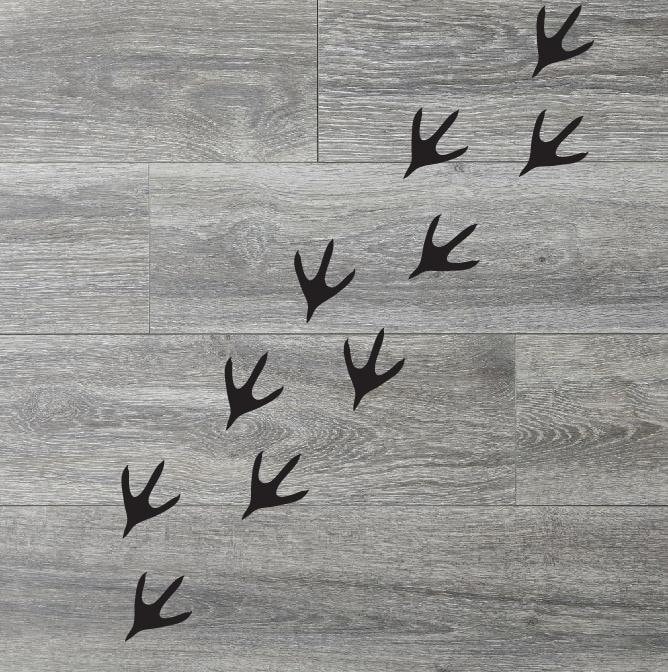 Chicken Foot Print Decals Set of 10 Hen Farm Eggs House | Etsy