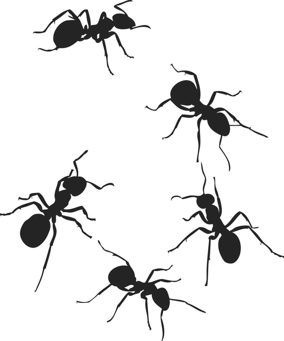 Ants Kitchen Wall Decals Set of 10 Big Bugs Summer Picnic - Etsy