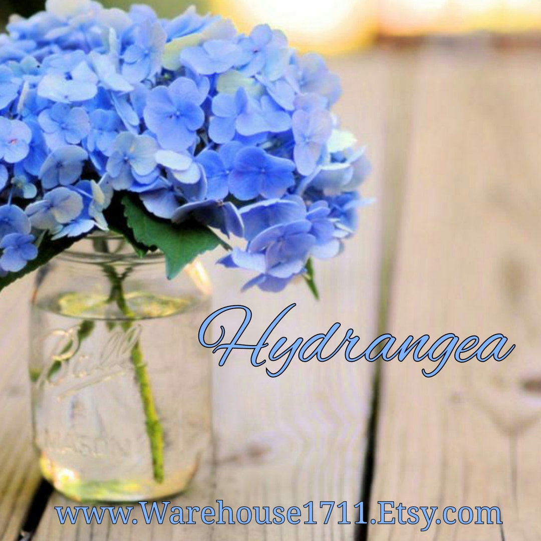Hydrangea Candle/bath/body Fragrance Oil - Etsy