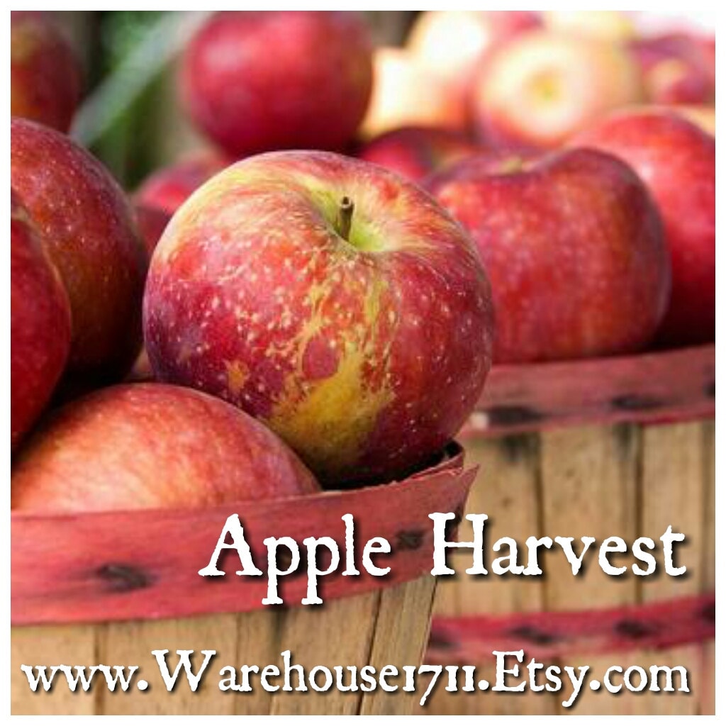 Apple Harvest Candle Fragrance Oil | Etsy