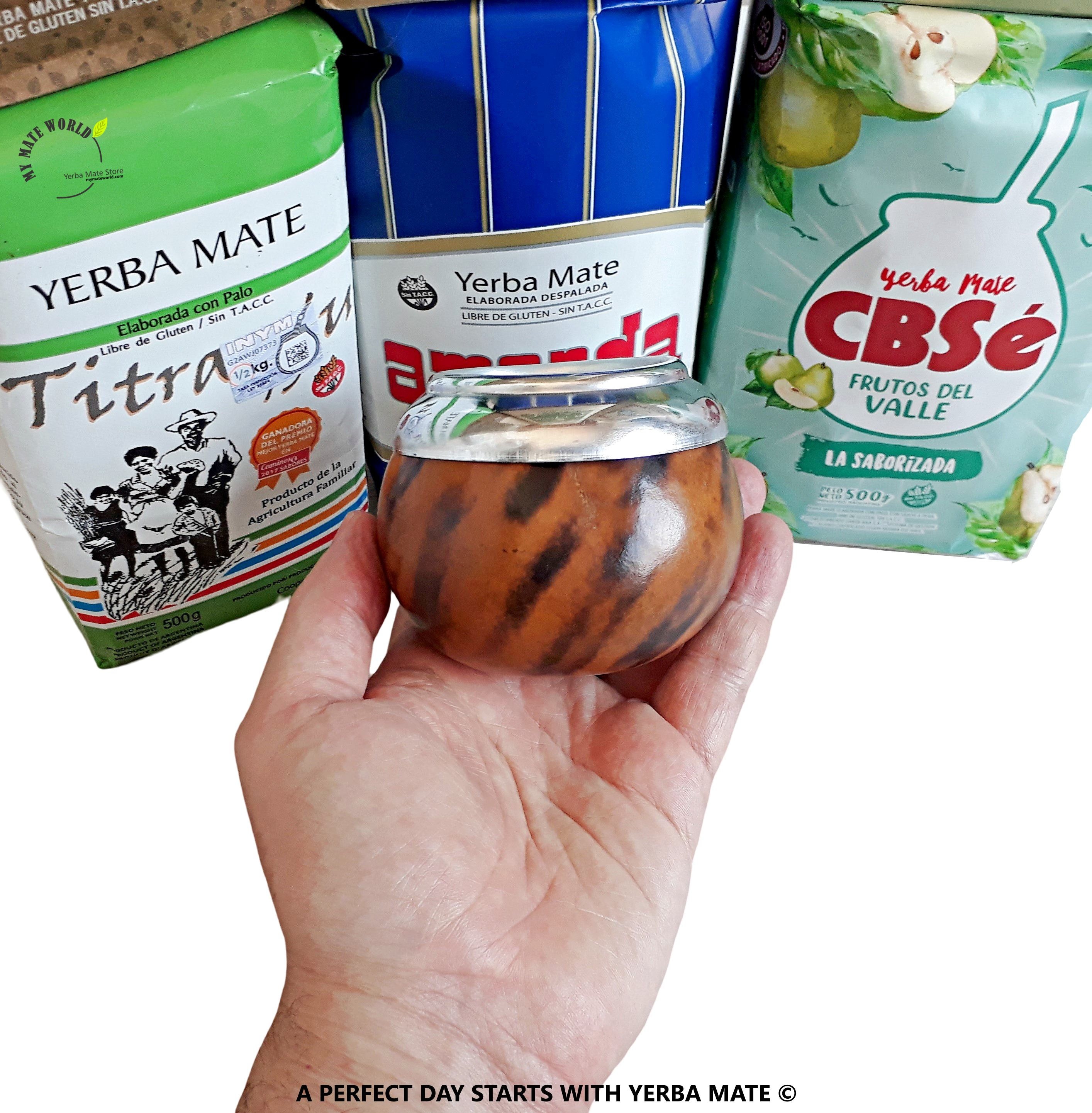 6 Yerba Mate Bags (ALL TYPES) Sample Kit - 