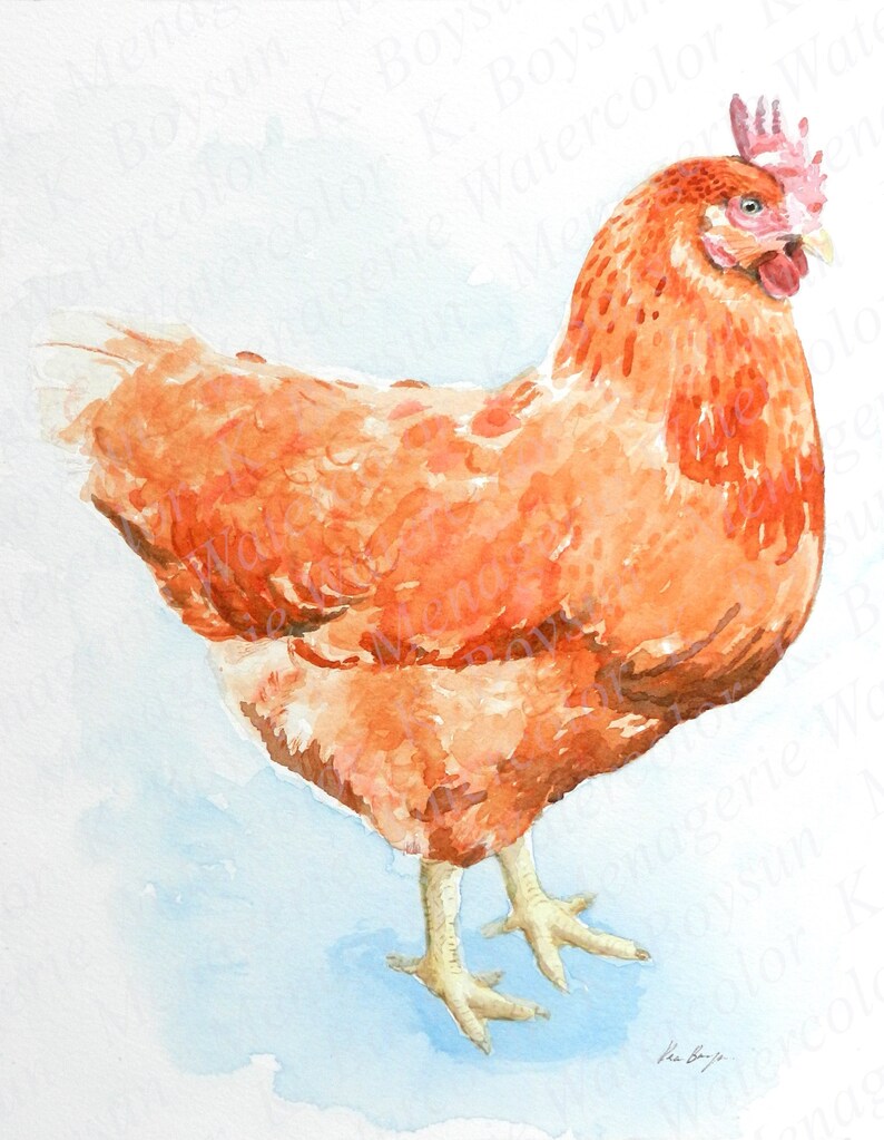 Rhode Island Red Chicken - Watercolor Archival Print - Etsy