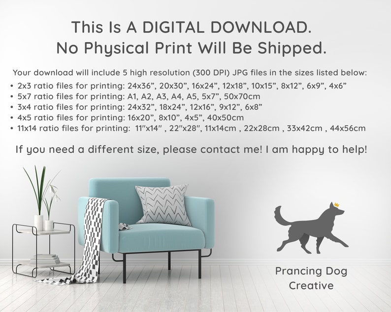 Border Collie Dog Agility Printable Art, Digital Download of Agility ...