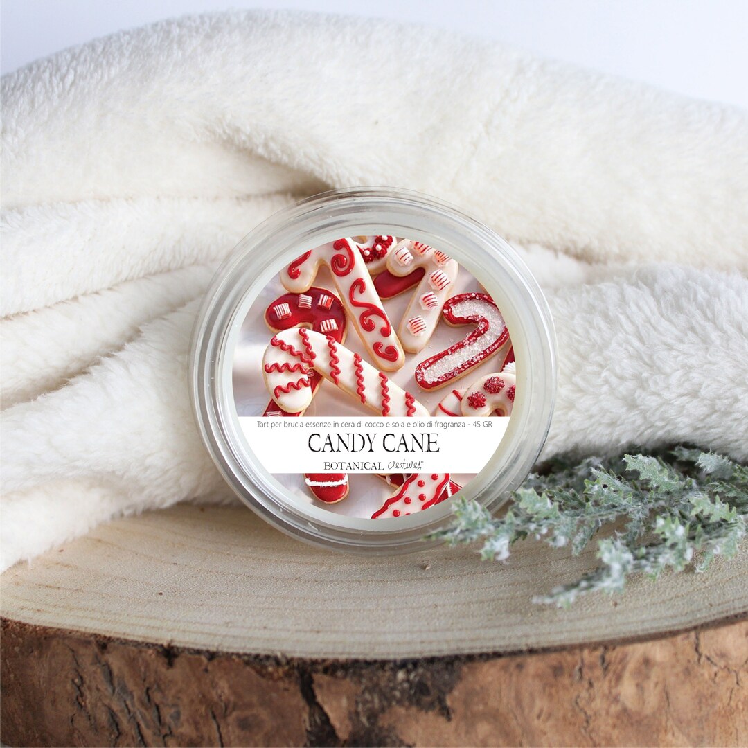 CANDY CANE Essence Burner Tart in Soy Wax for Essence Burner - Etsy