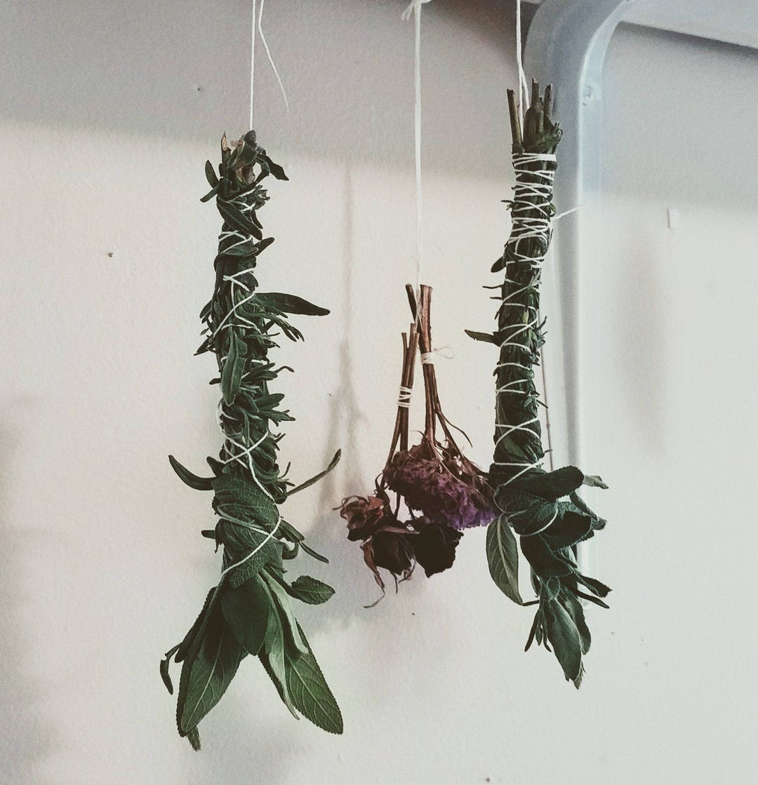 Sage Bundle // Homemade // Unique // Garden Grown // - Etsy