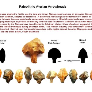 Paleolithic Arrowhead 53mm Saharan Flint Artifact Genuine | Etsy