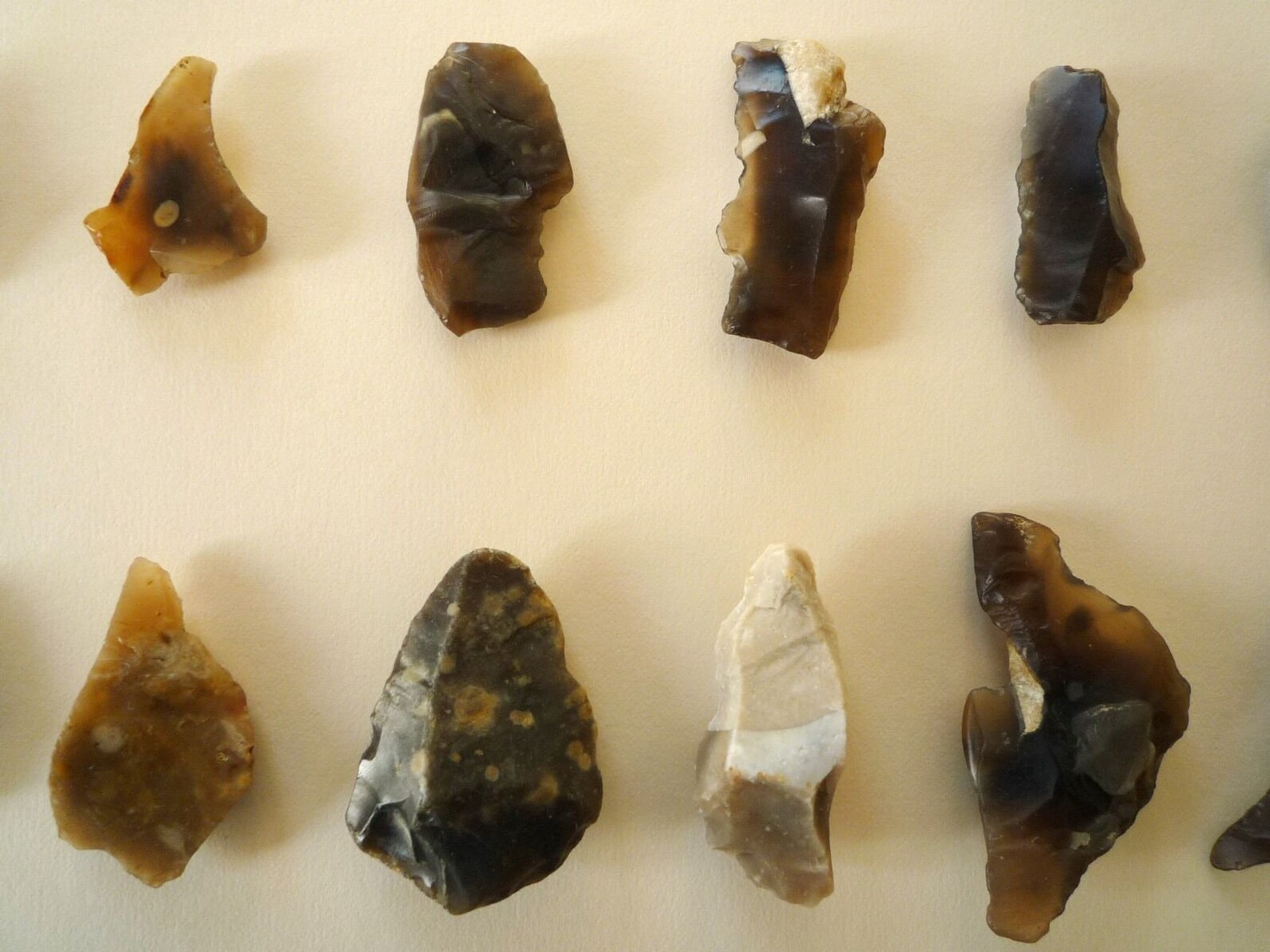 British Neolithic / Mesolithic Flint Tools / Scrapers in 3D Pine Frame ...