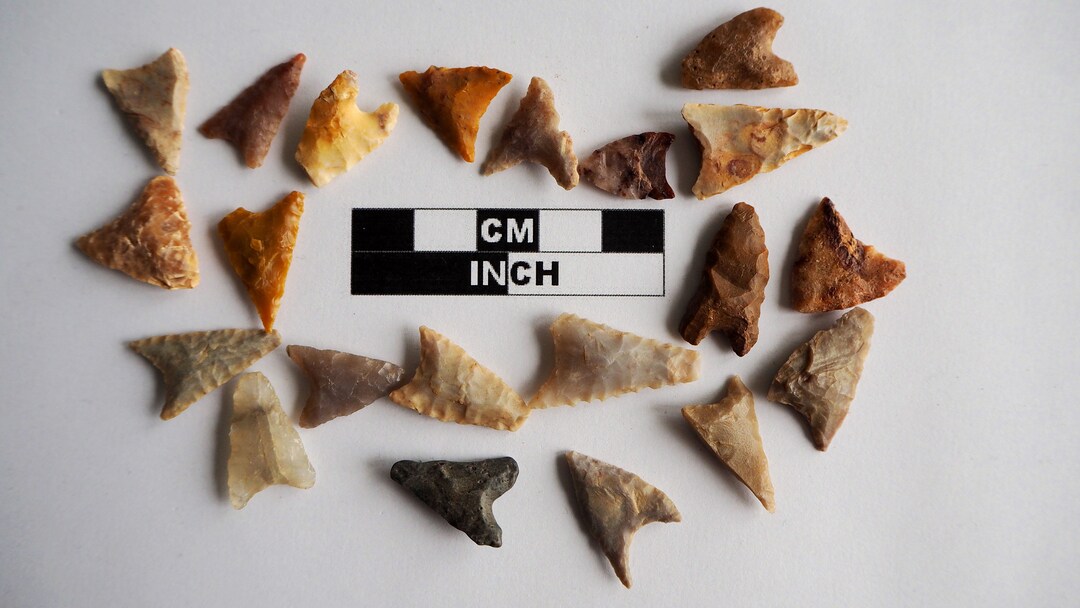 Neolithic Triangle Arrowheads X 20, Sahara 4000BC 986 - Etsy