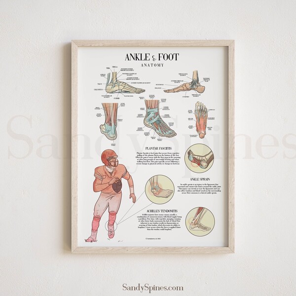 Foot and Ankle Poster - Etsy
