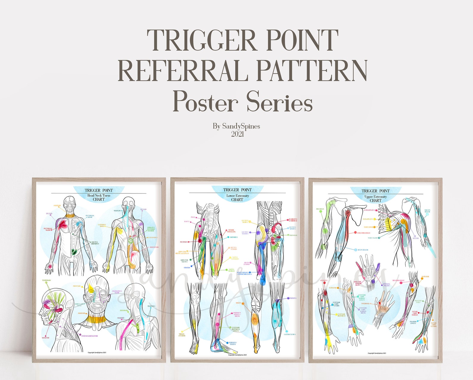 Muscle Trigger Point Charts Set of 3 Art for - Etsy