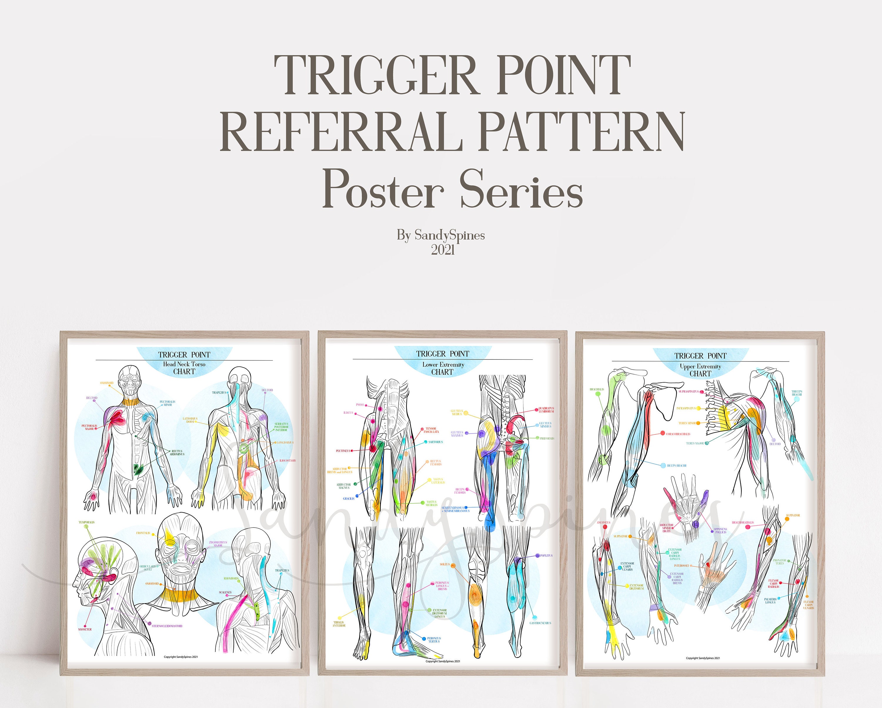 Muscle Trigger Point Charts Set of 3 Art for - Etsy UK
