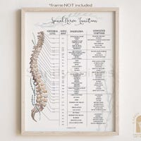 Spine Frequencies Poster, Spine Anatomy Poster, Human Spine ...