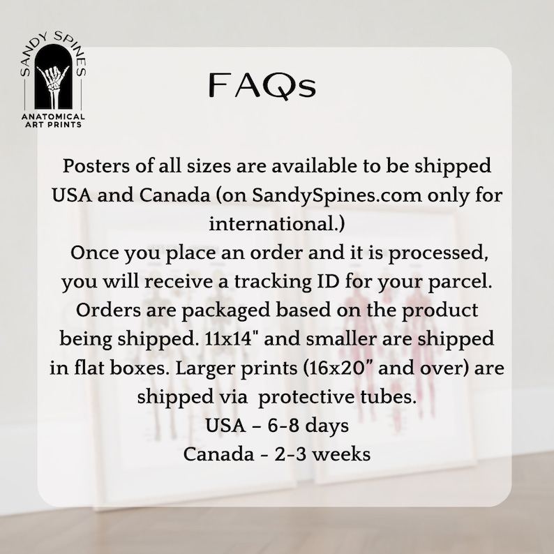 Fascia Lines Anatomy Poster | SANDYSPINES | Art for Chiropractors ...