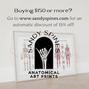 Deep Back Muscles Anatomy Poster | SANDYSPINES | Chiropractic Art ...