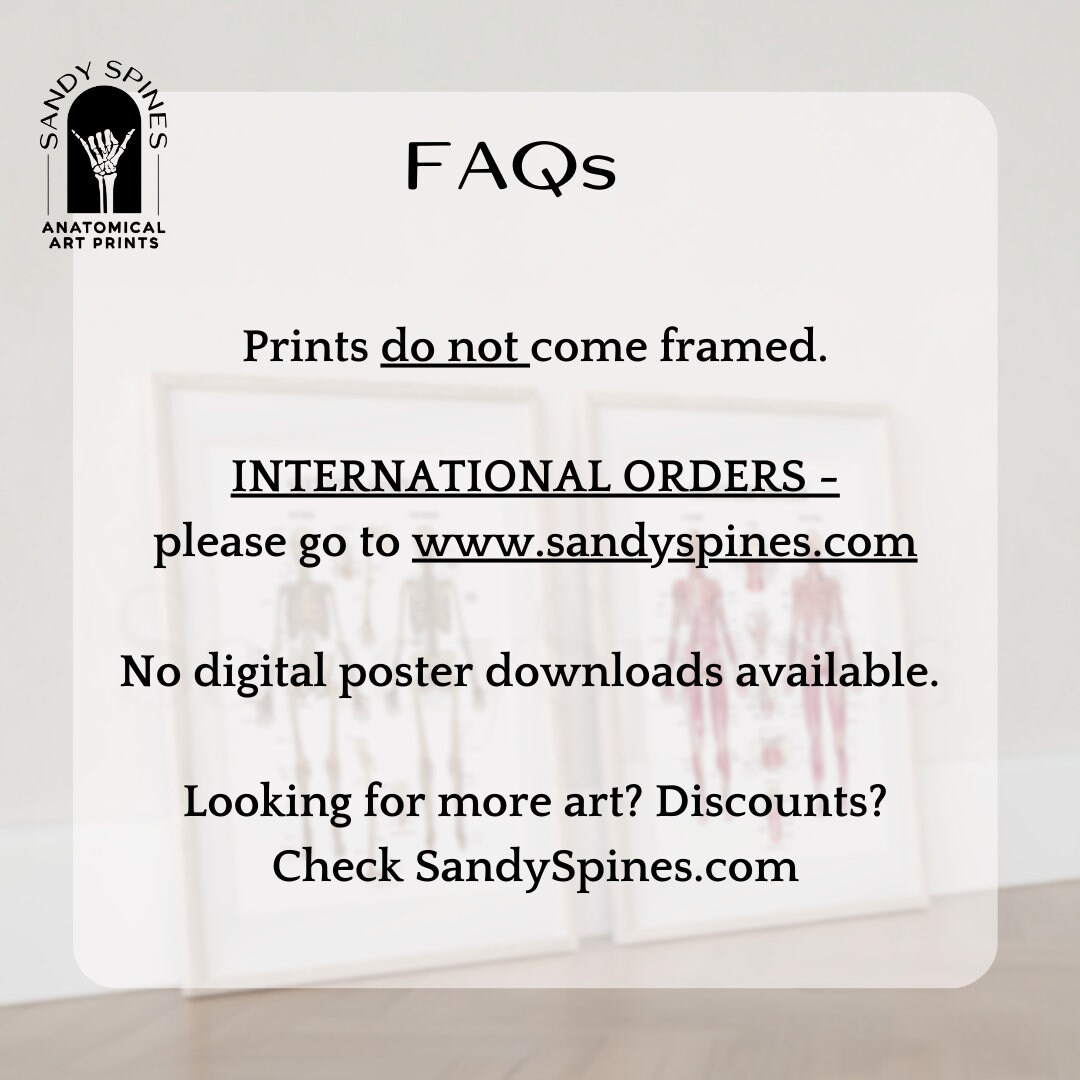 Spinal Degeneration Poster | SANDYSPINES | Art for Chiropractors ...