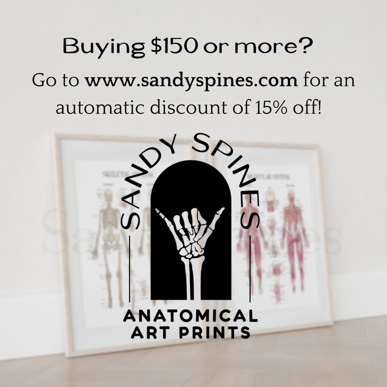 Spinal Degeneration Poster | SANDYSPINES | Art for Chiropractors ...