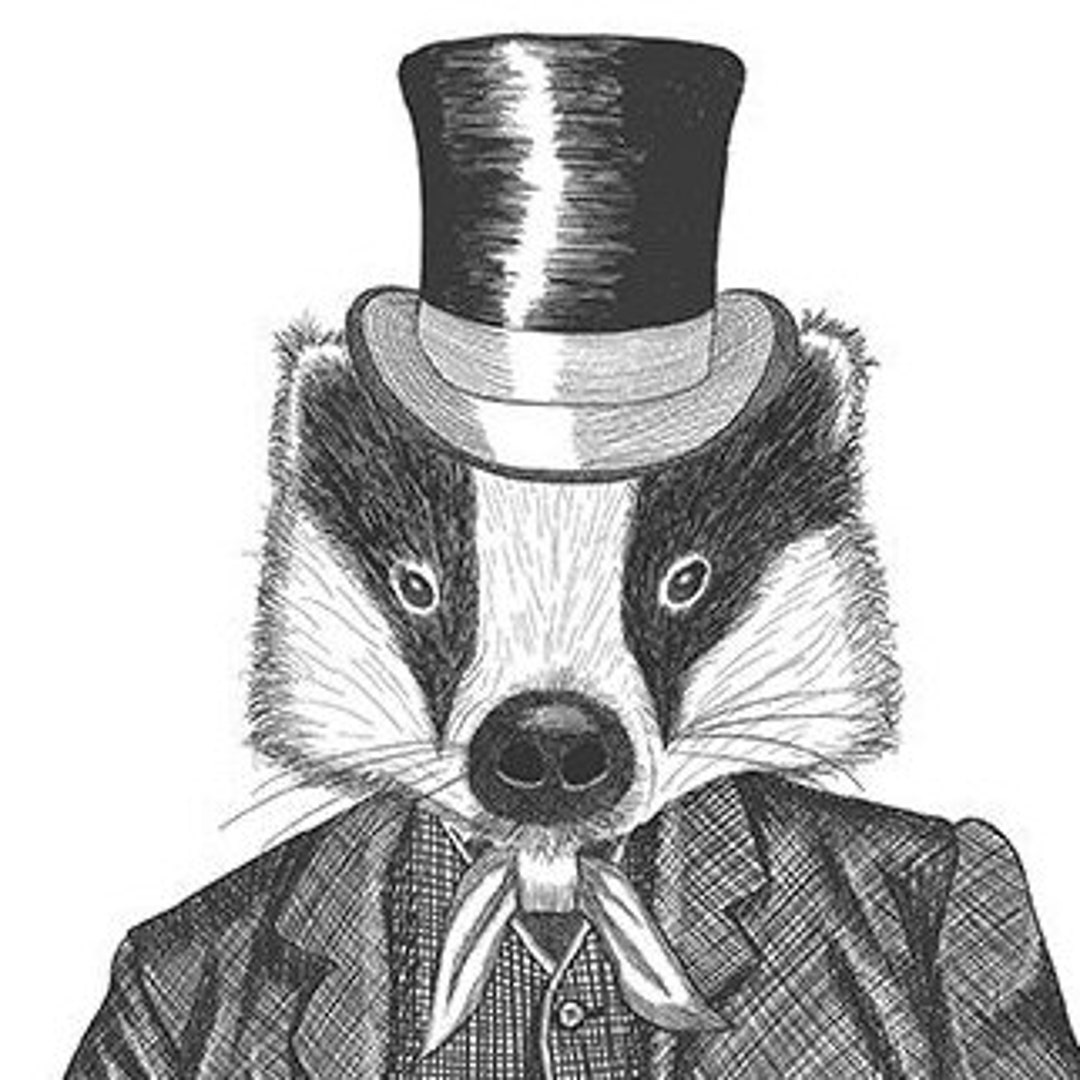 LIMITED EDITION Badger Print Husband Gift Idea Dad, Badger Illustration ...