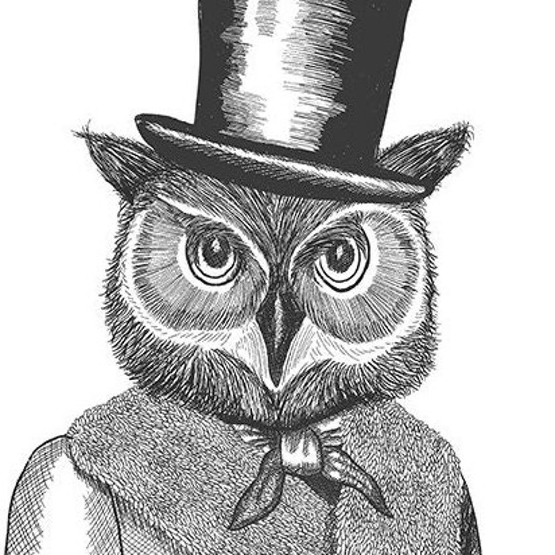 LIMITED EDITION Owl Portrait Print Pen and Ink Drawing Owl - Etsy