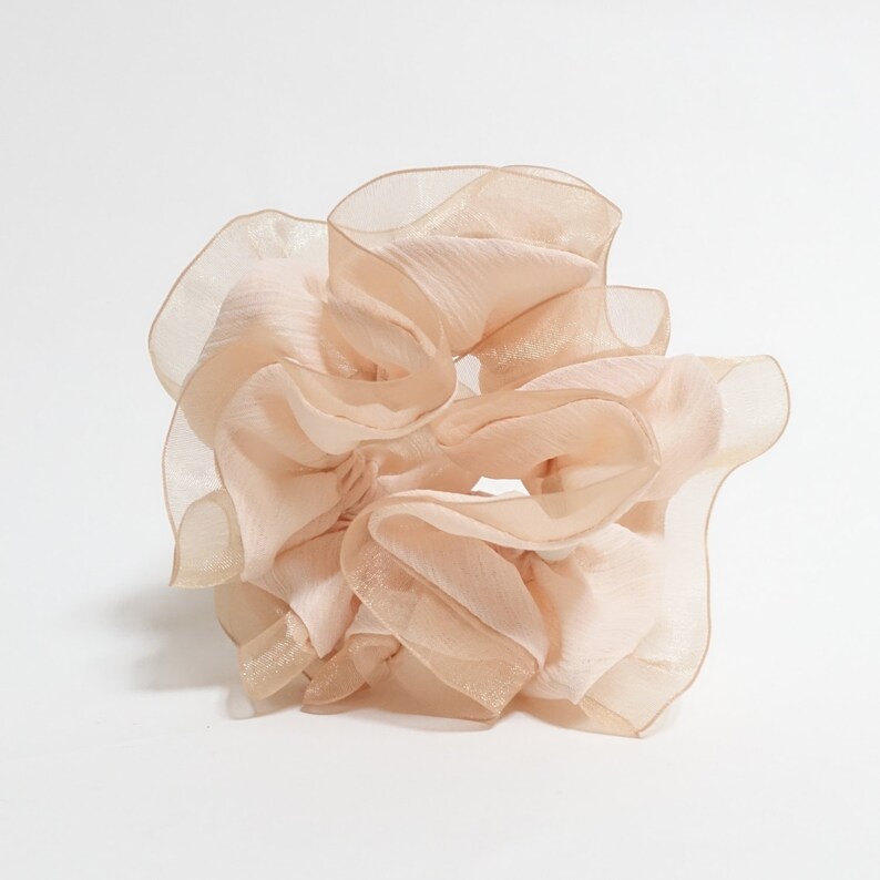 Mesh Trim Chiffon Scrunchies Hair Elastics Women Hair - Etsy