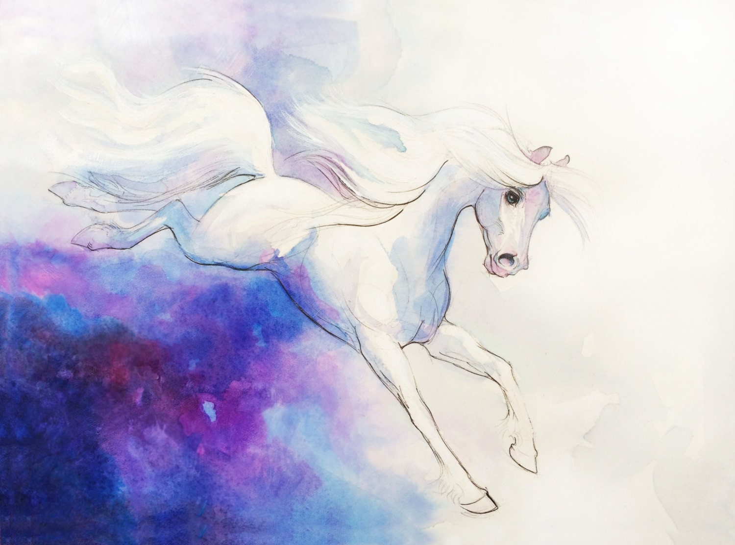 Watercolor White Horse, Watercolor Horse Art, Horse Illustration, Horse ...
