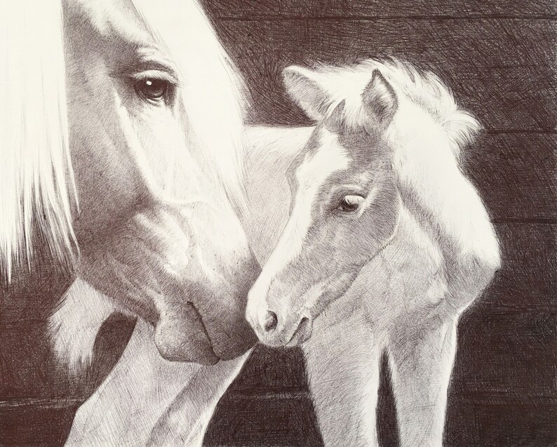Mare and Foal Art Pen and Ink Drawinghorse Lovers Gift Cute - Etsy
