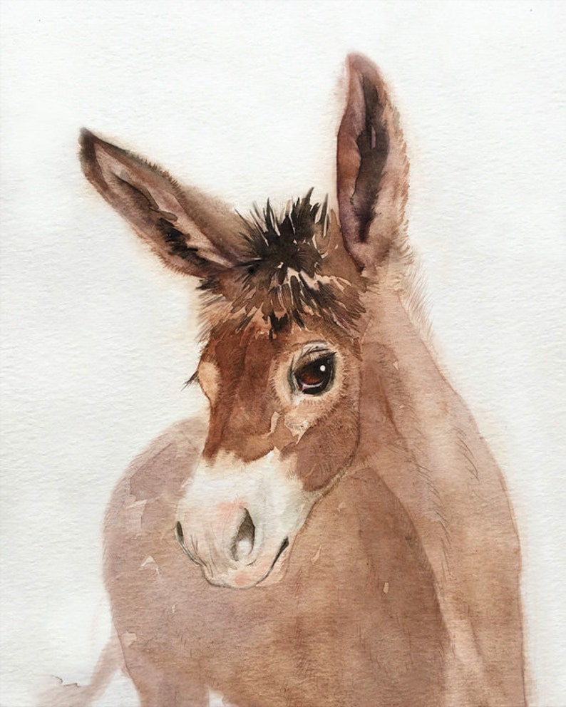 Donkey Watercolor Art Nursery Wall Art Decor Donkey - Etsy