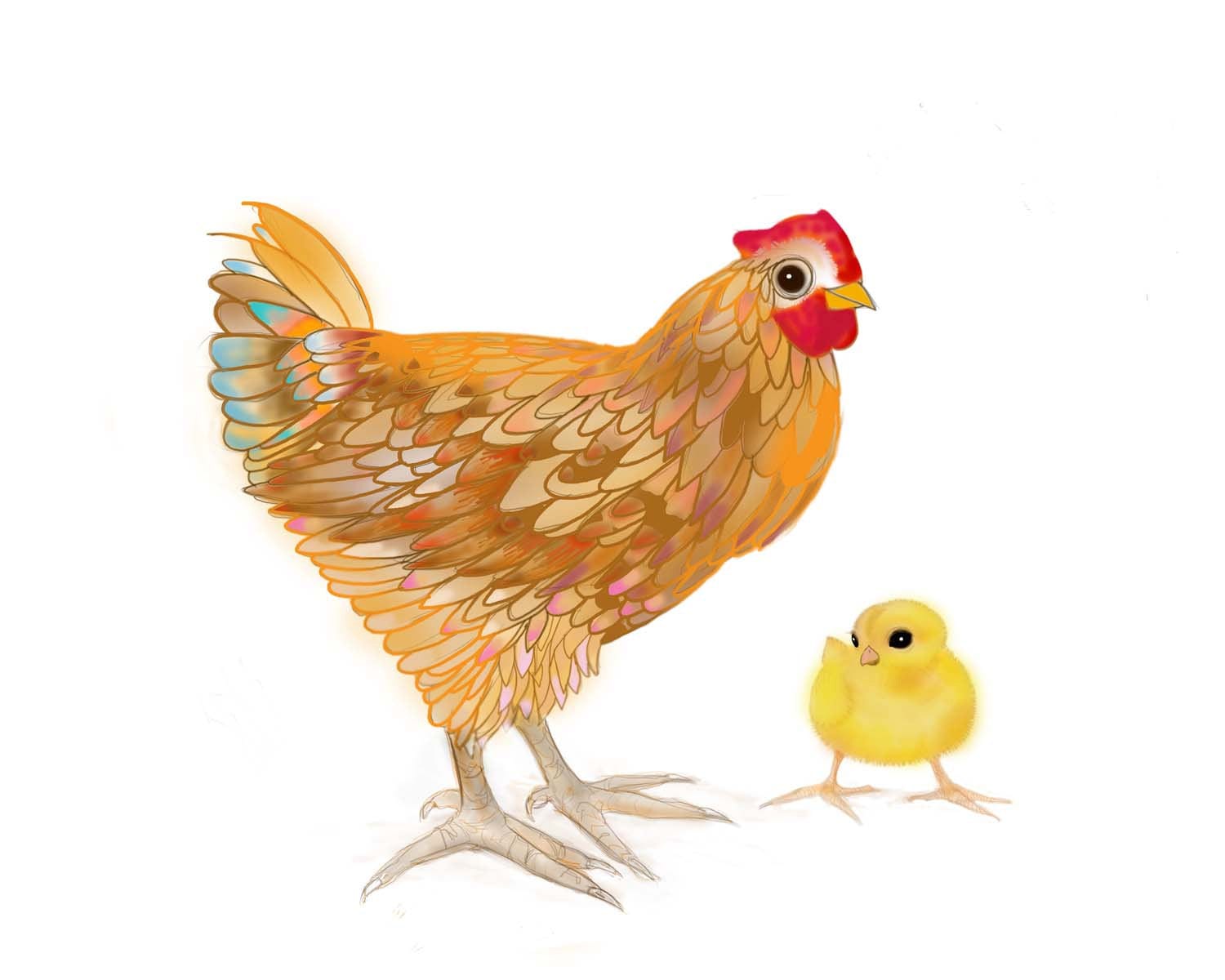 Chicken Art Print, Chicken Wall Art, Kitchen Art, Nursery Art, Kids ...