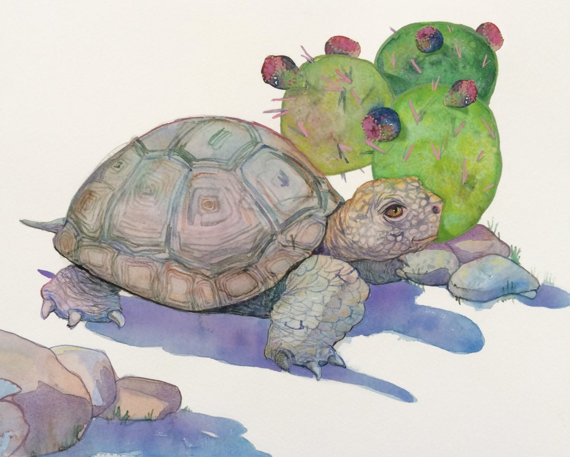 Watercolor Desert Tortoise Art Print, Cactus Painting - Etsy