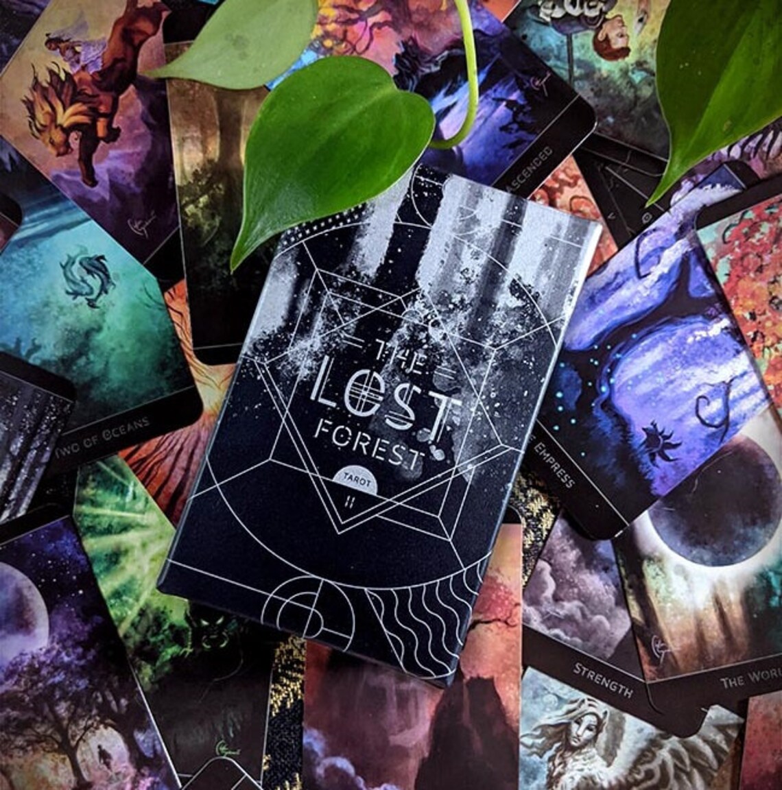 Justice 8x12 Art Print From the Lost Forest Tarot - Etsy