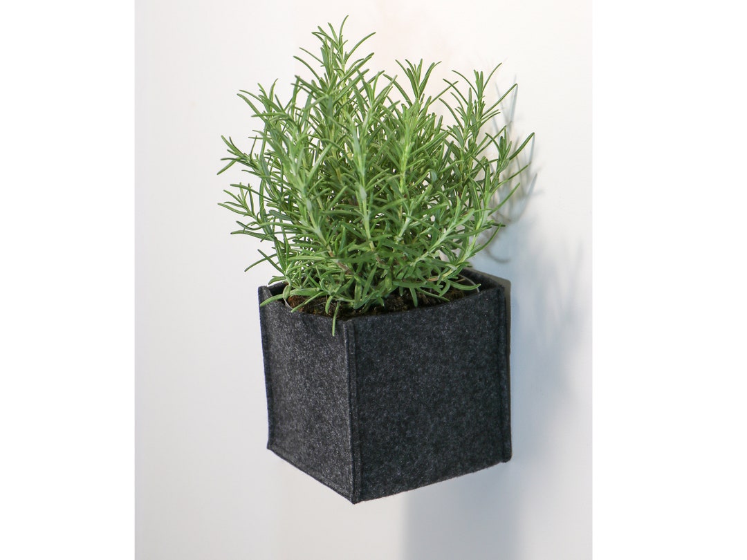 MAGNETIC Felt Planter | Wall Mounted Planter for Herbs, Magnetic Felt ...