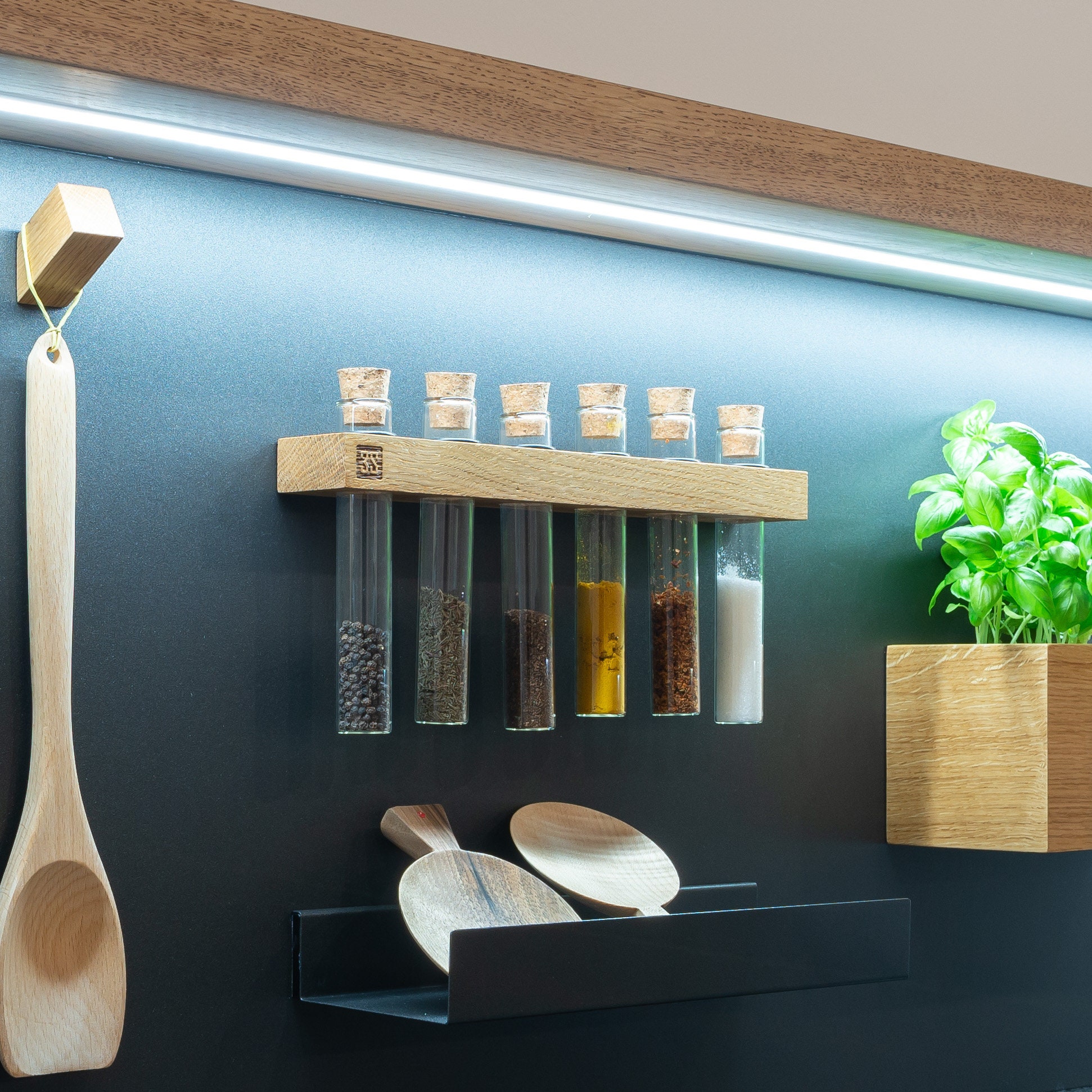 MAGNETIC Spice Rack With 6 Glass Tubes - Etsy