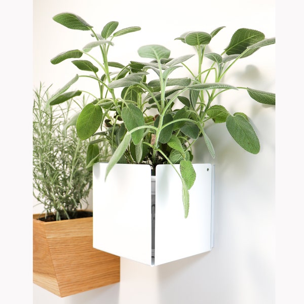 Magnetic Planter - Etsy