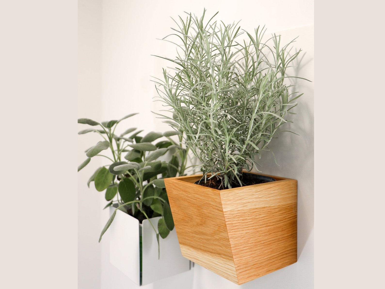 MAGNETIC Wooden Planter Oblique | Magnetic Flower Pot for Wall Mounted ...