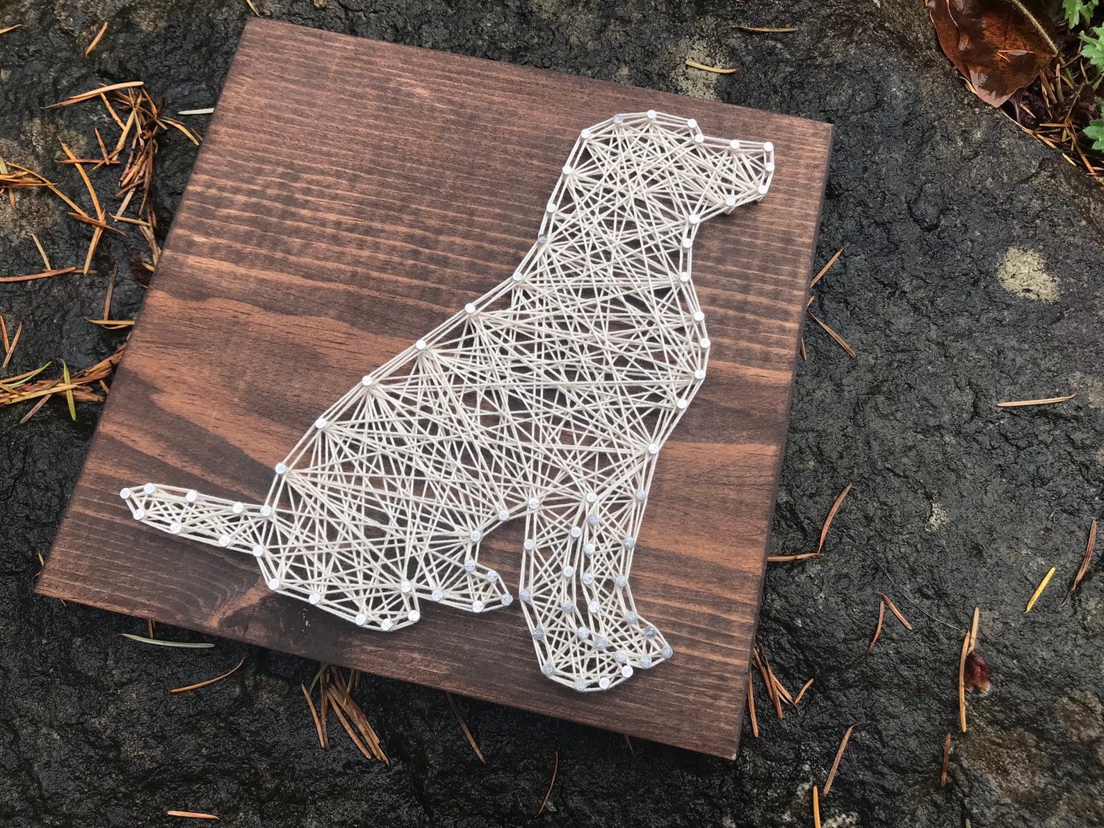 MADE TO ORDER Labrador String Art Lab String Art Dog Dog | Etsy