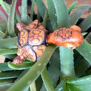 New Polymer Clay Handmade Box Turtle, Decorative Turtle Hand Sculpted ...