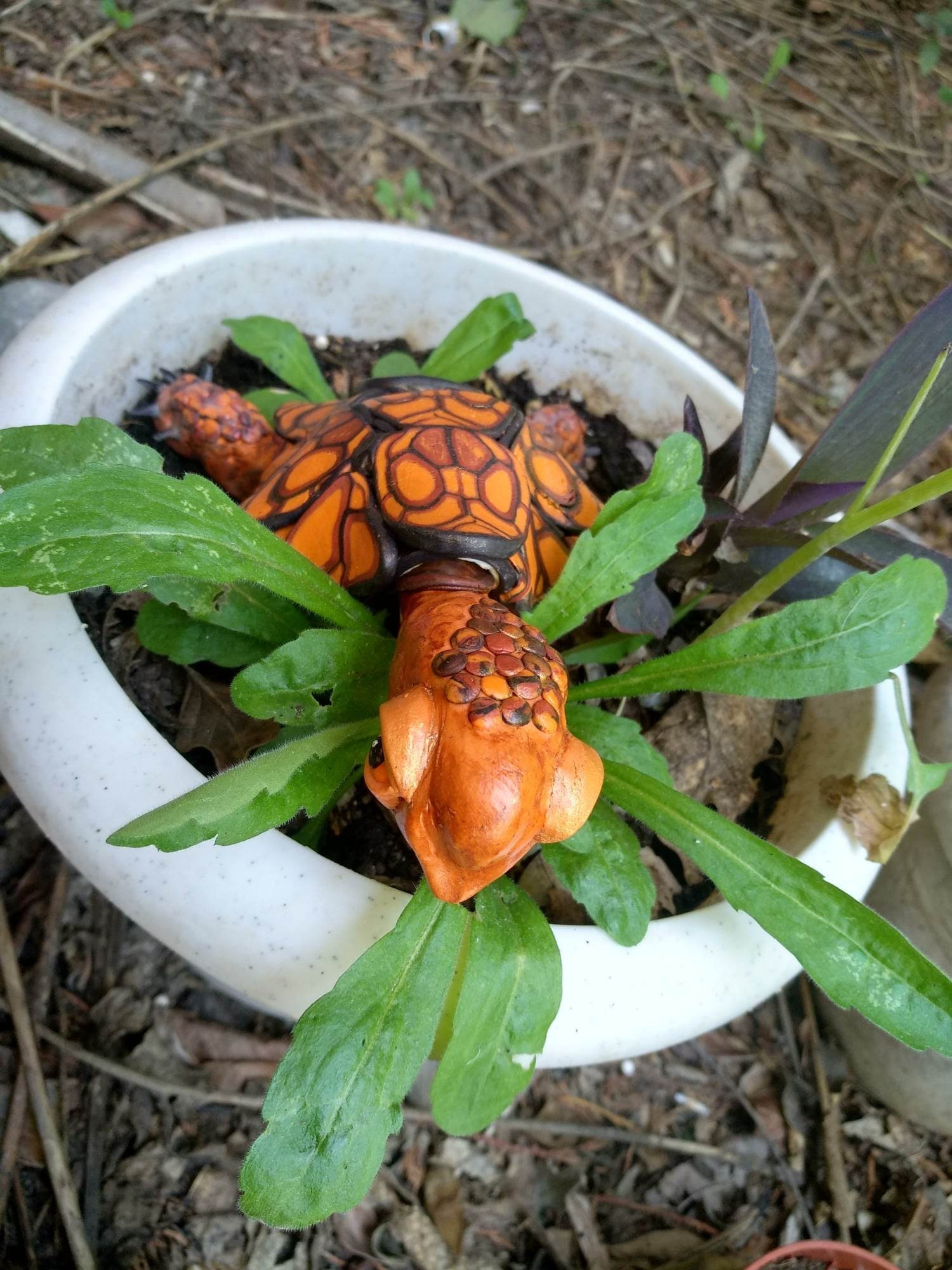 New Polymer Clay Handmade Box Turtle, Decorative Turtle Hand Sculpted ...