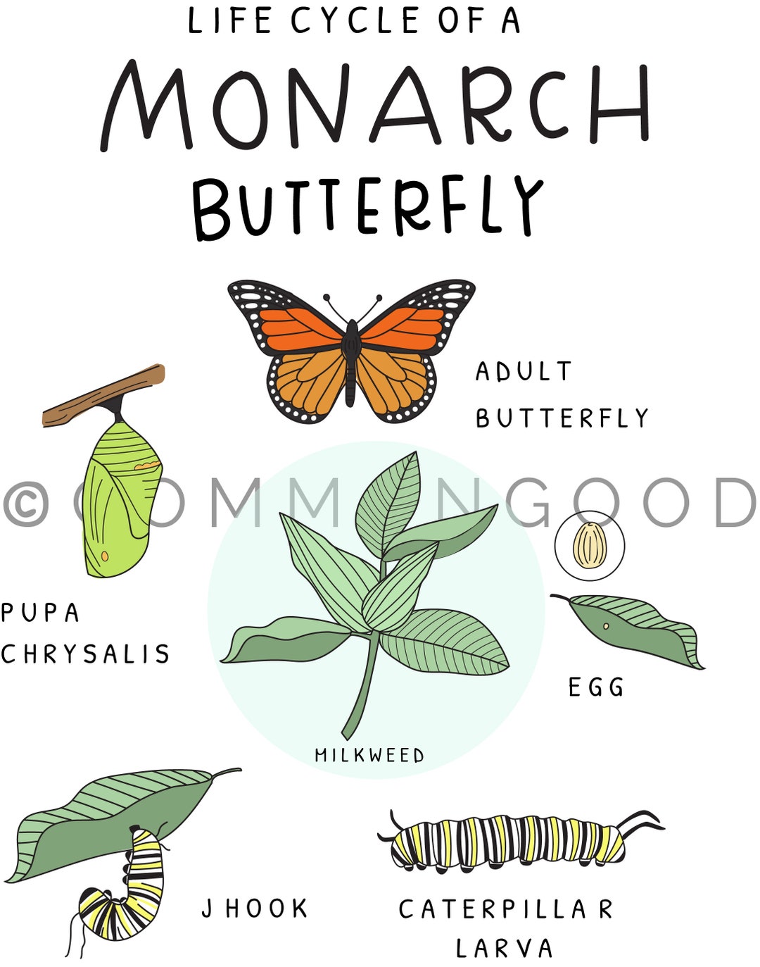 Printable Monarch Butterfly Bundle | Digital Download | Preschool ...