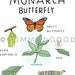 Printable Monarch Butterfly Bundle | Digital Download | Preschool ...