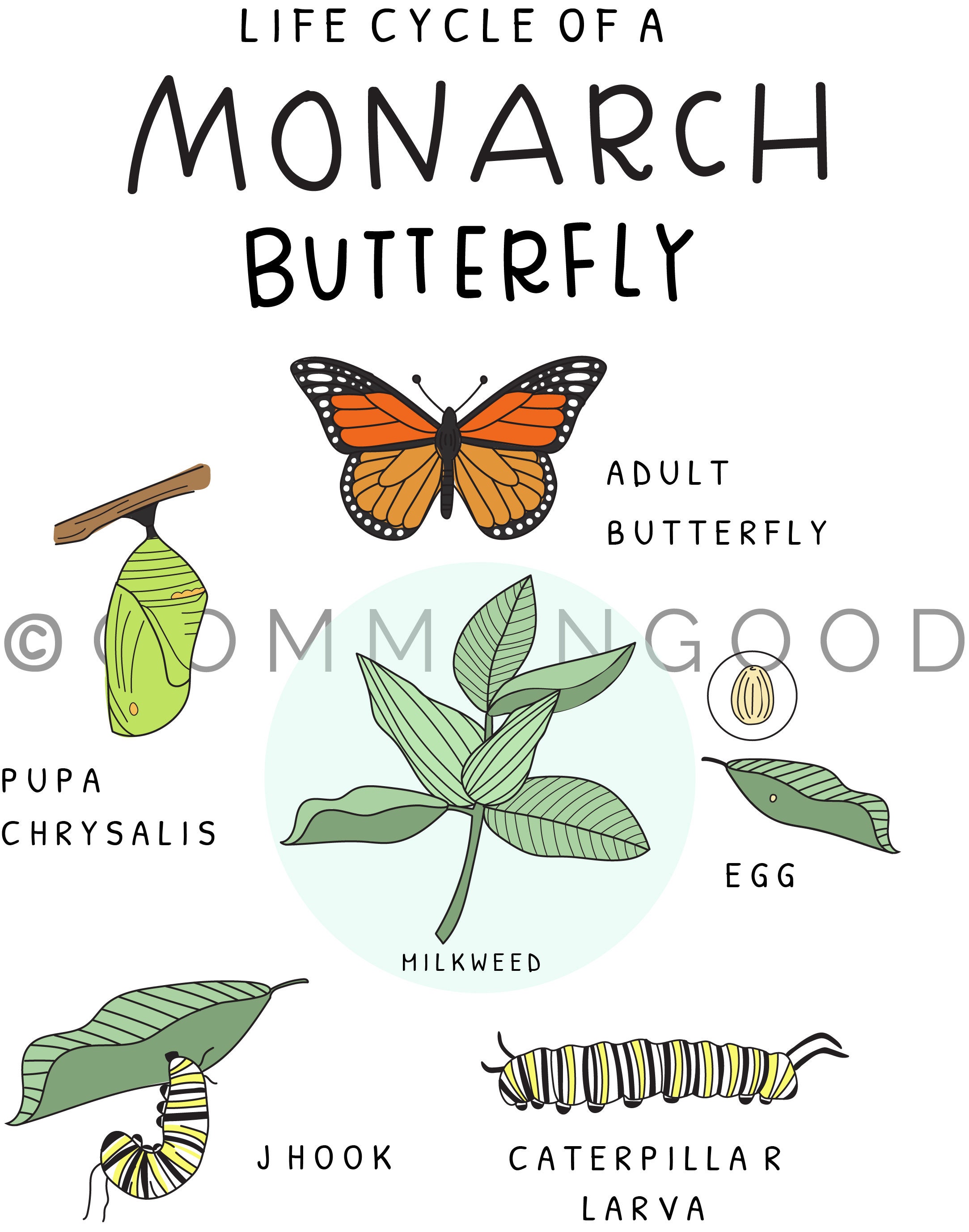 Printable Monarch Butterfly Bundle | Digital Download | Preschool ...