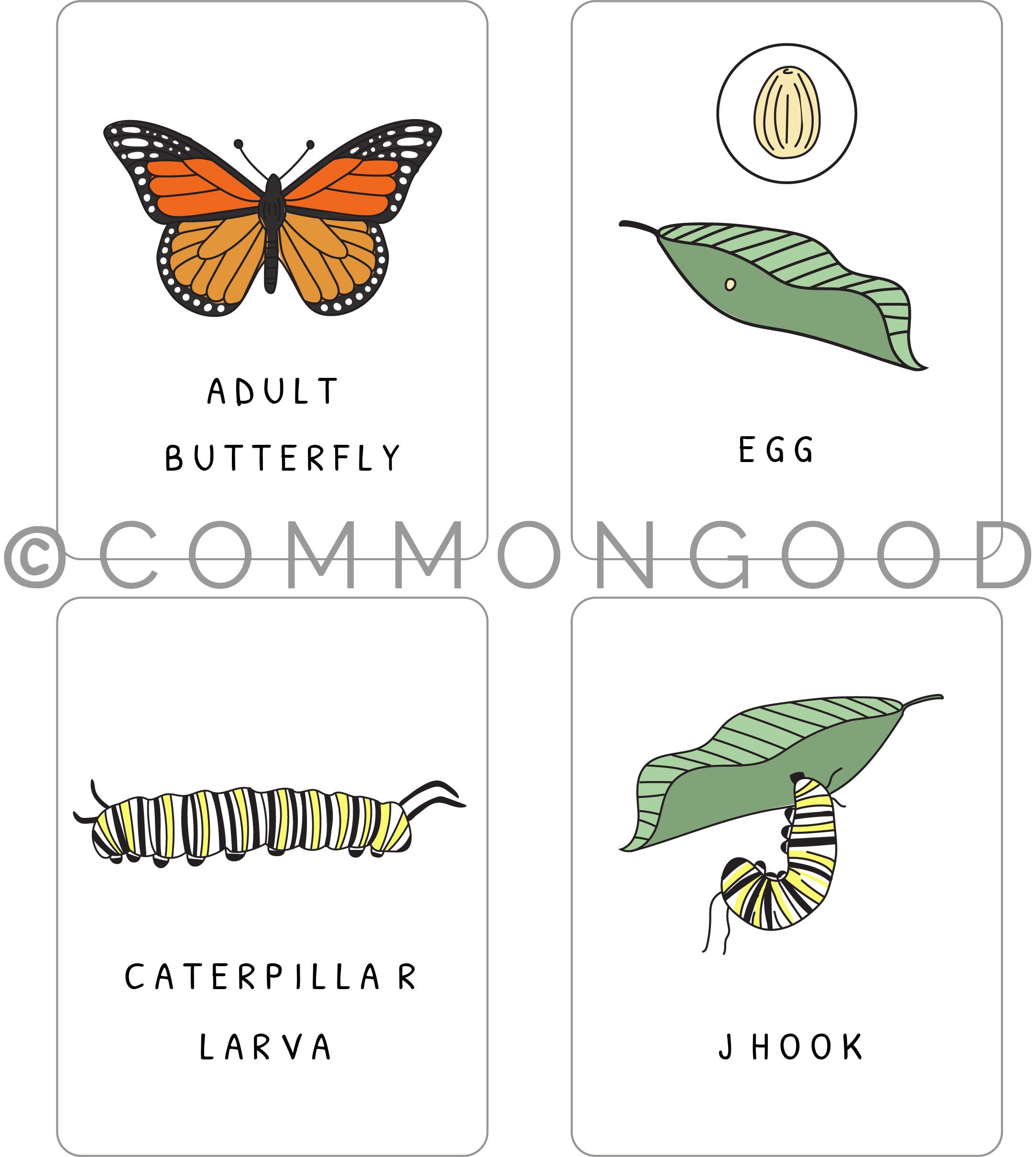 Printable Monarch Butterfly Bundle | Digital Download | Preschool ...